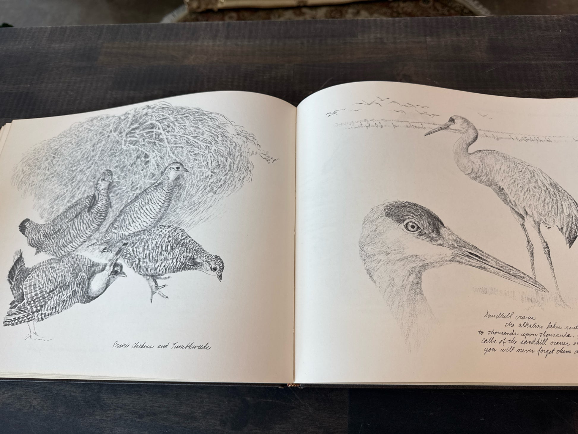 Coffee Table Book: Images of Texas, Charles Beckendorf (artist signed ...